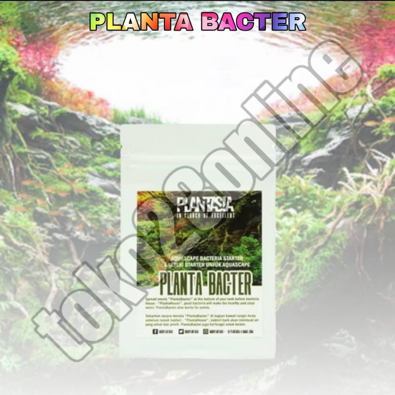 Jual PLANTA BACTER / PLANTA BAKTER / BAKTERI STARTER / BACTERIA STARTER ...