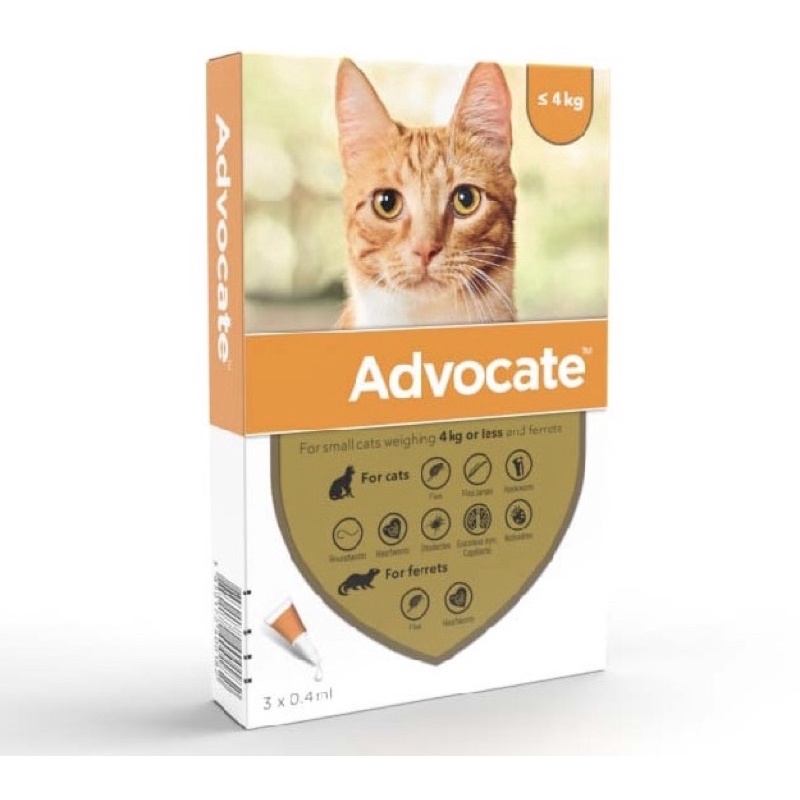 Jual ADVOCATE CAT 4 KG | Shopee Indonesia