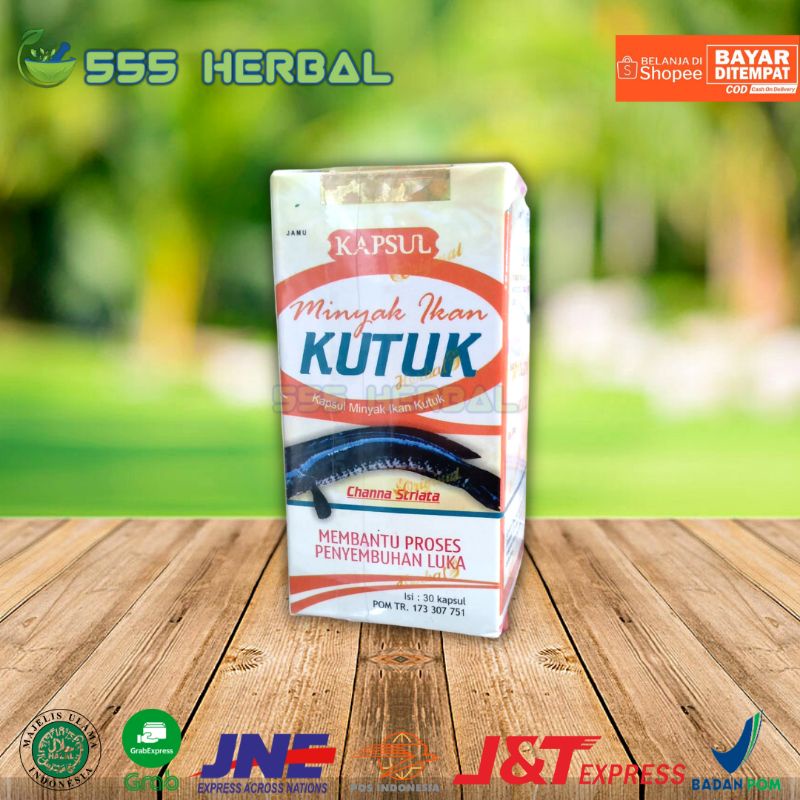 Jual Kapsul Minyak Ikan Kutuk Tazakka Ekstrak Albumin Gabus Obat Herbal Pasca Operasi ...