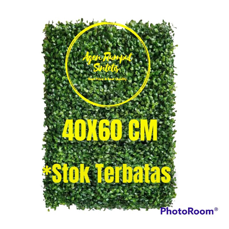 Jual DAUN RAMBAT SINTETIS 40X60 CM - DAUN DINDING SINTETIS - DAUN DOLAR ...