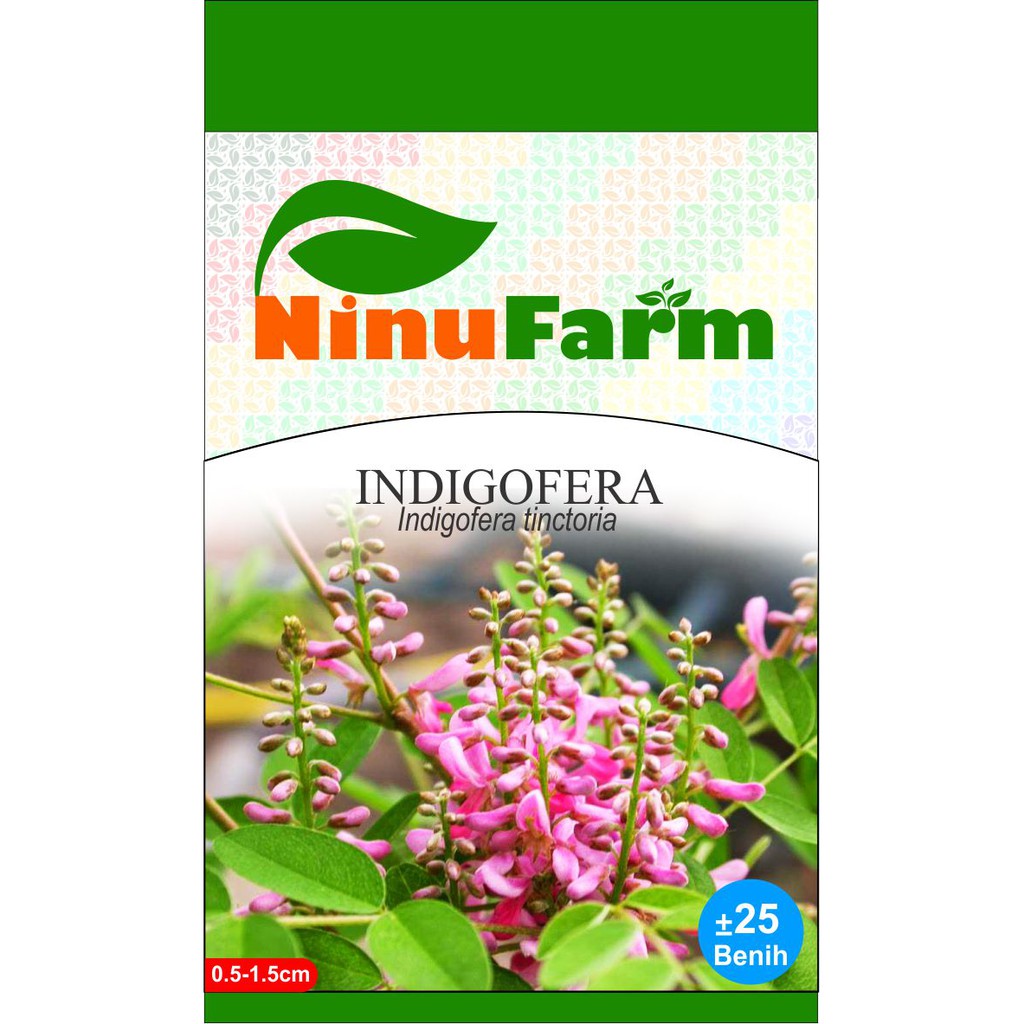 Jual Benih Indigofera 25Seeds | Shopee Indonesia