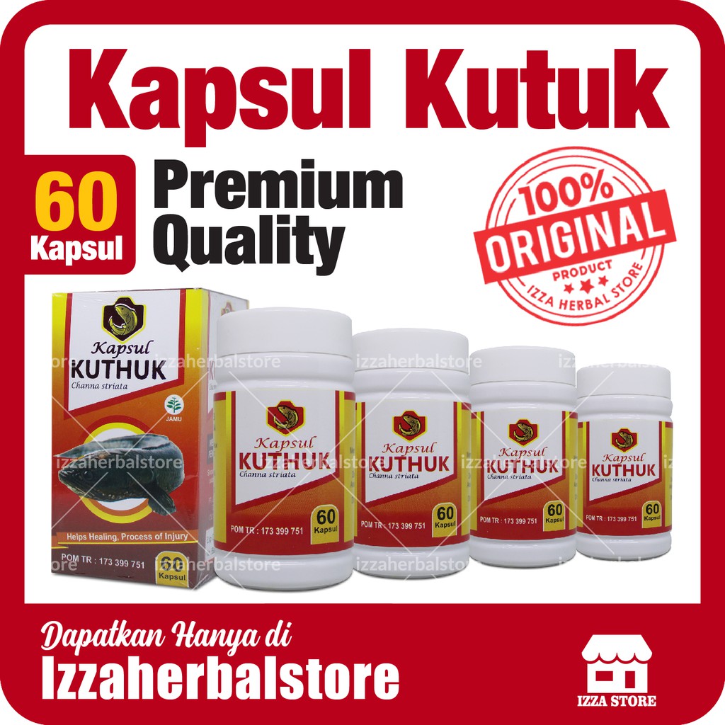 Jual KUTHUK 60 Kapsul Ikan KUTUK PREMIUM Albumin Ikan Gabus Original Izin BPOM Obat Herbal ...