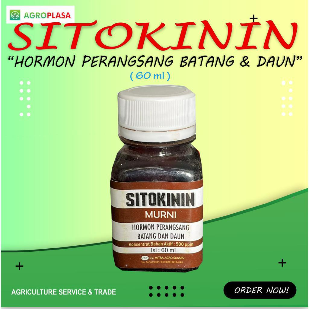 Jual Sitokinin Cairan Hormon Pertumbuhan Batang dan Daun 60 ml | Shopee ...