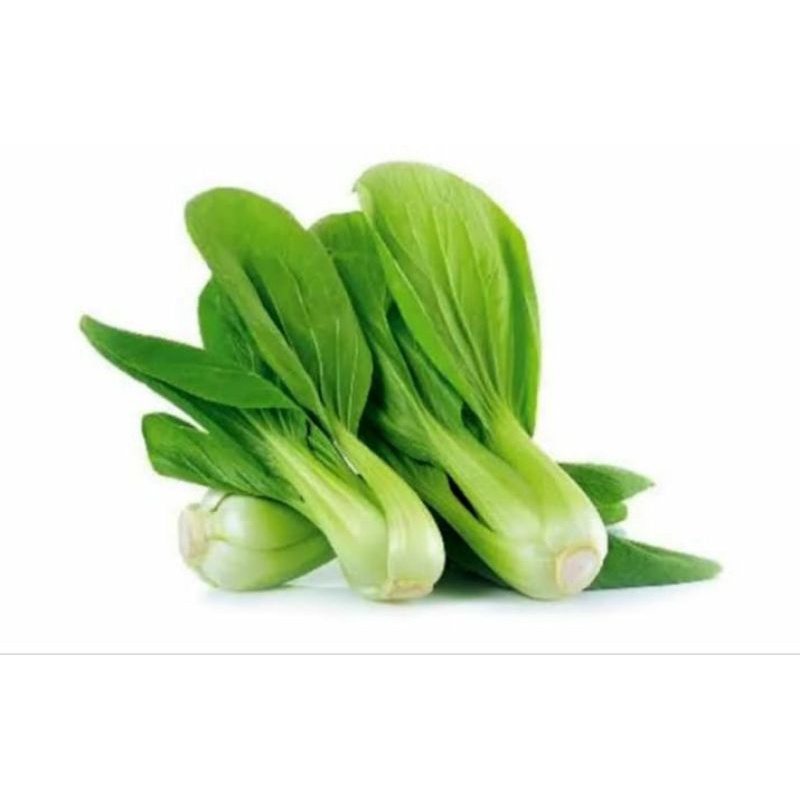 Jual sayur pakcoy hijau fresh 1 kg | Shopee Indonesia