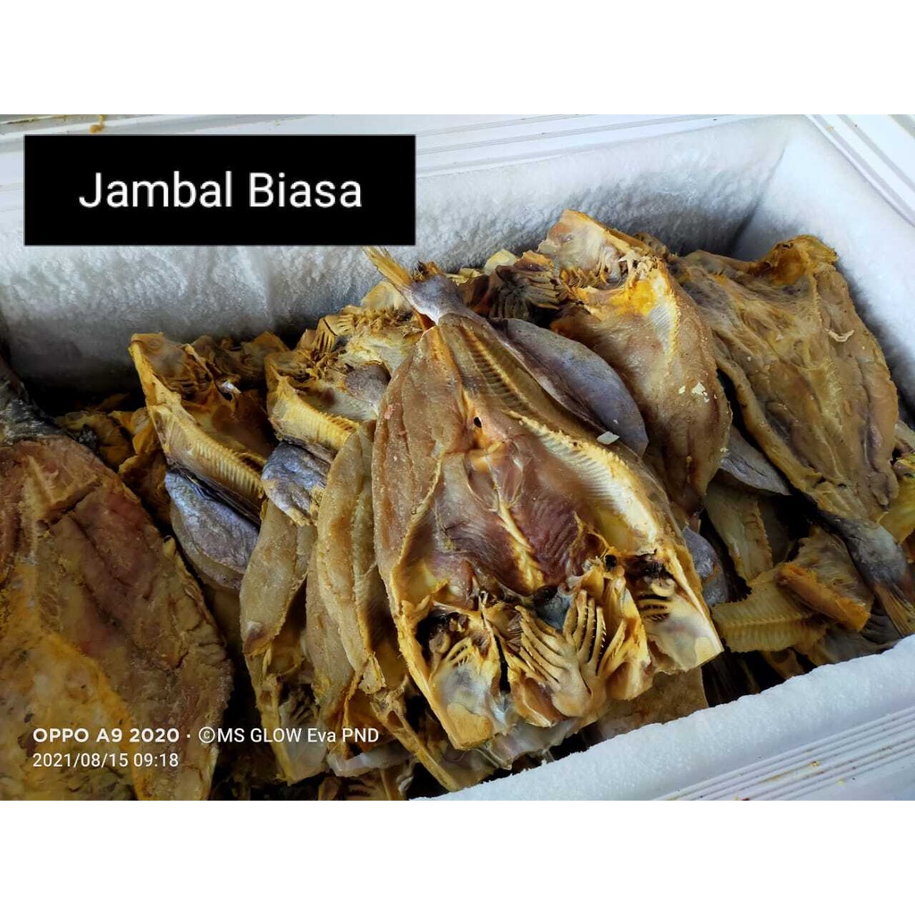 Jual Ikan Asin Jambal Roti Biasa 1Kg | Shopee Indonesia