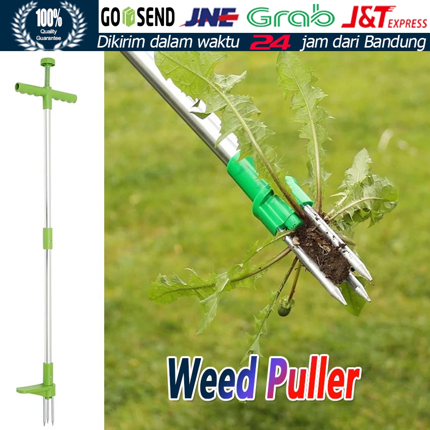 Jual Alat Pencabut Rumput/Akar Tanaman Liar Manual Multifungsi Untuk ...