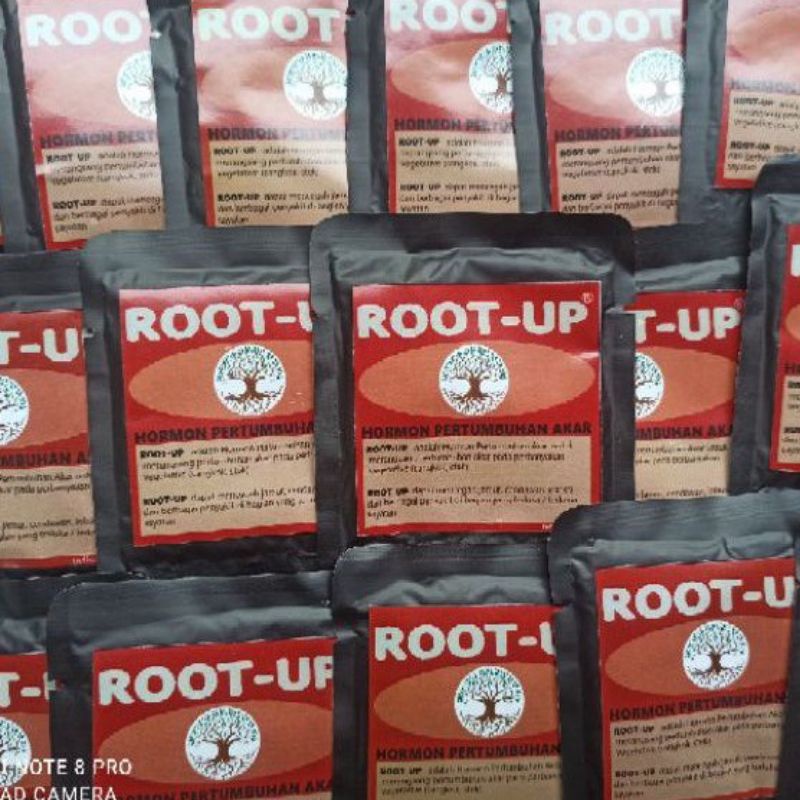 Jual Obat Perangsang akar root up 10 gr repacking | Shopee Indonesia