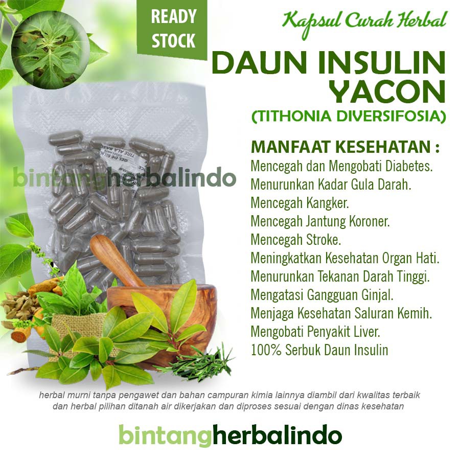 Jual DAUN INSULIN YACON 100 Kapsul Curah Herbal Stroke Diabetes Liver ...