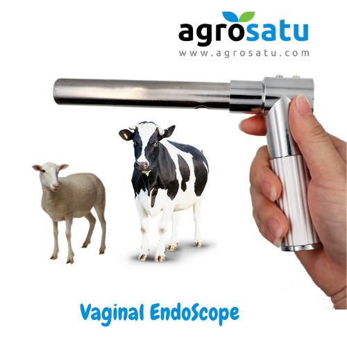 Jual Alat IB Inseminasi Buatan HV3N Vaginoscope Speculum Sapi Kambing Domba | Shopee Indonesia