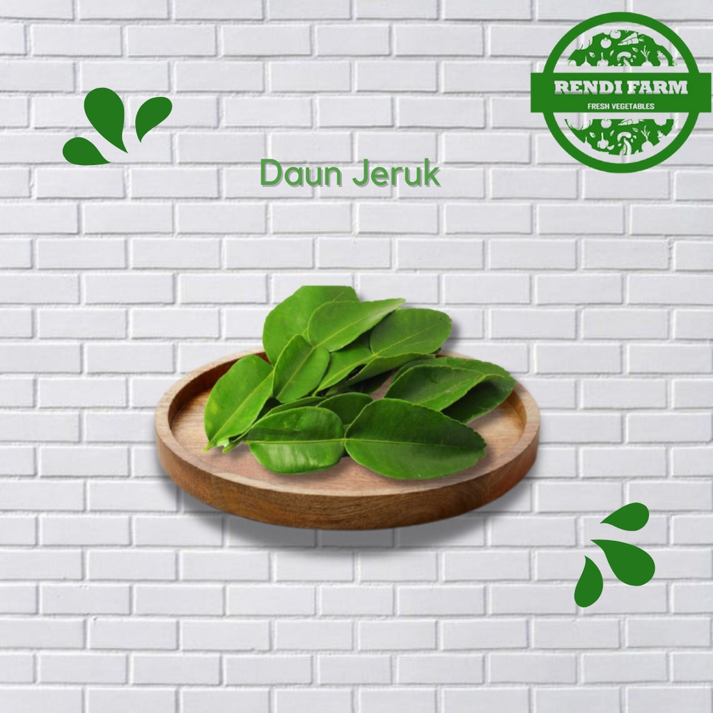 Jual DAUN SEGAR - DAUN JERUK / BUMBU DAPUR 50 GR | Shopee Indonesia