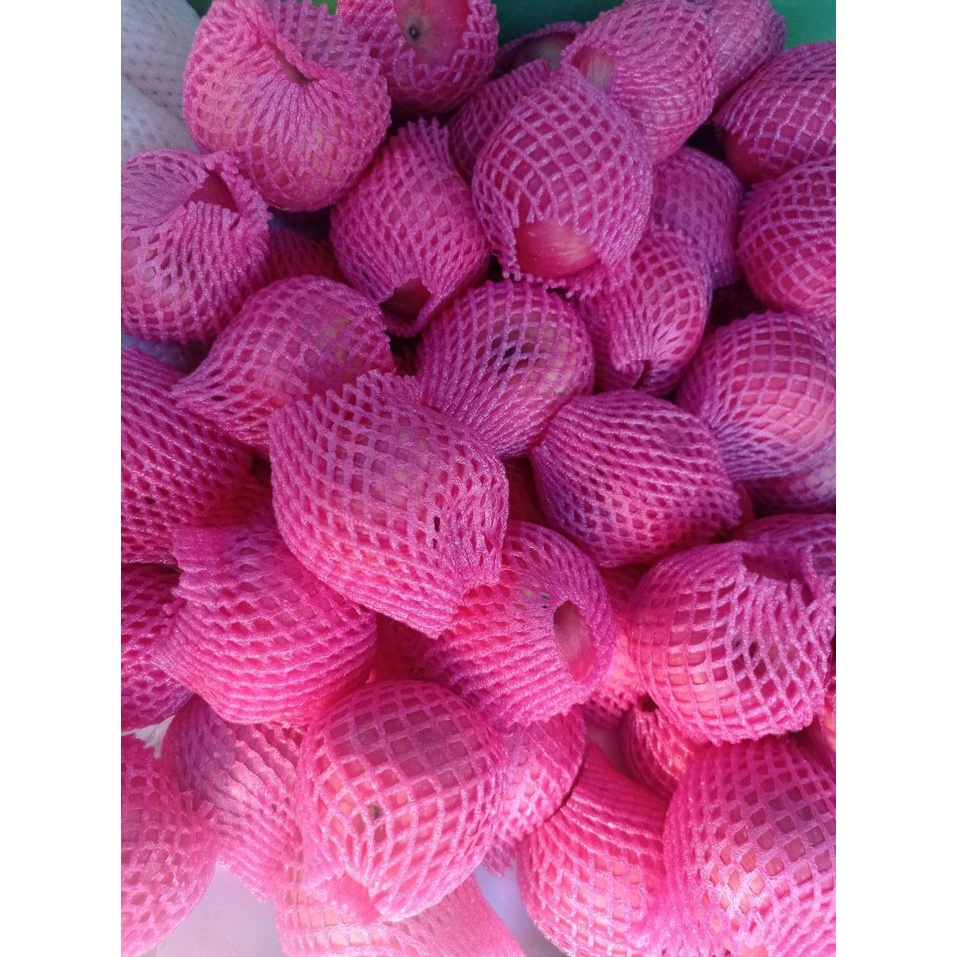 Jual Apel Fuji Besar | Shopee Indonesia