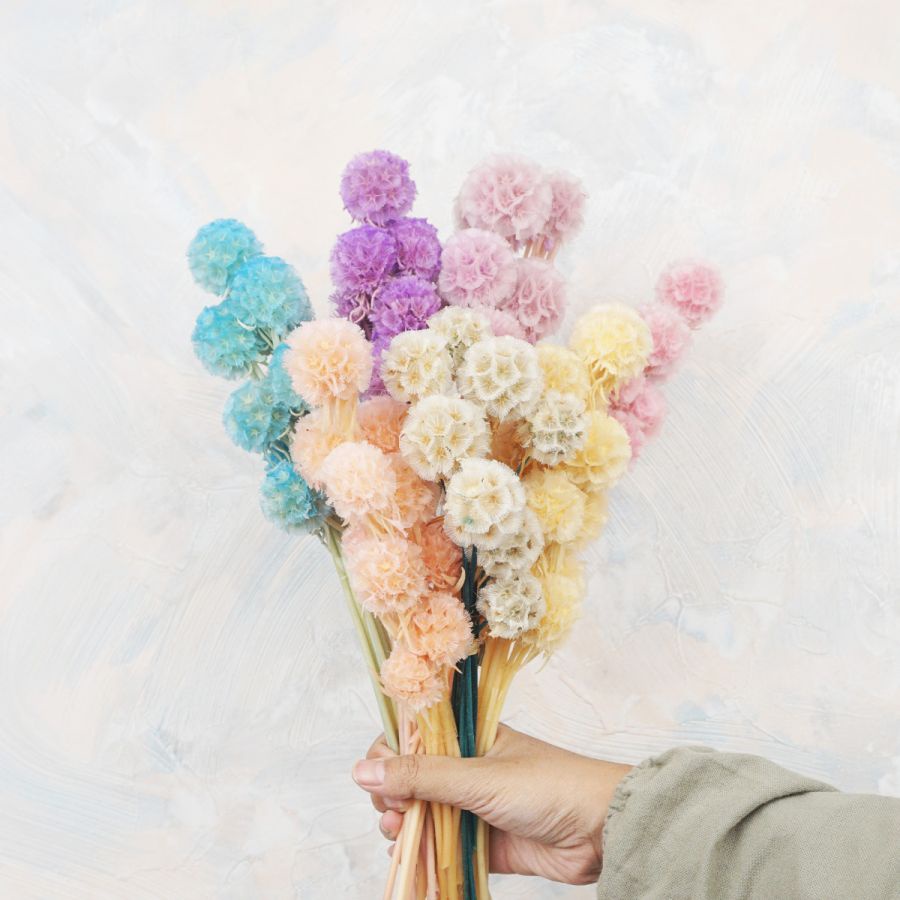 Jual 5 Tangkai Bunga Preserved Flower Kering Artificial Dry Flower ...