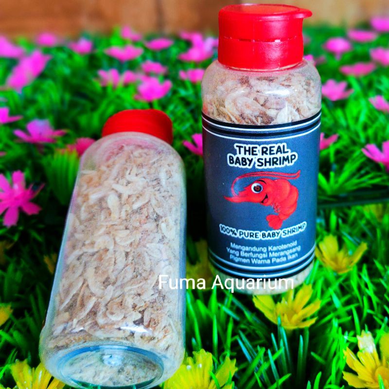 Jual THE REAL BABY SHRIMP 100% PURE BABY SHRIMP 20gr Medium | Shopee ...