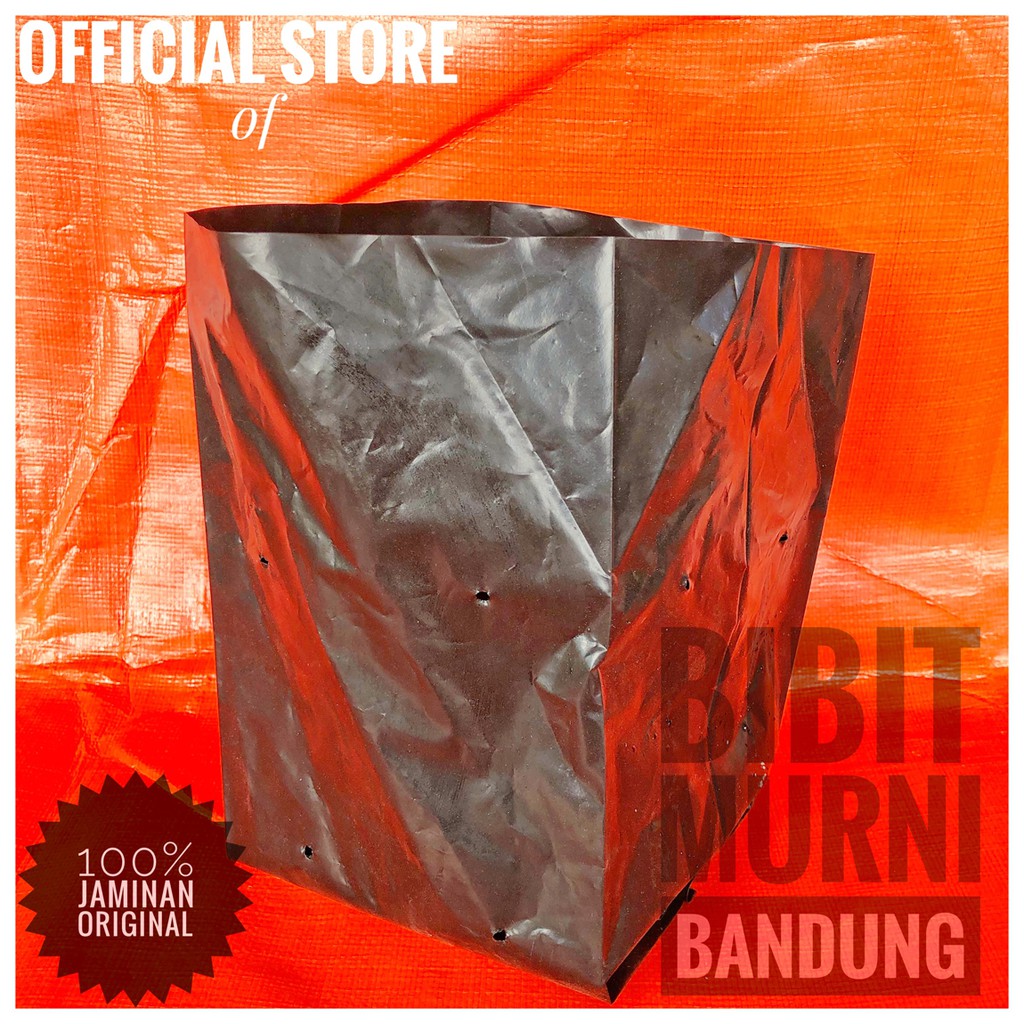 Jual PLASTIK POLYBAG 1KG UKURAN 30X35 CM ISI +- 38AN LEMBAR POLYBAG ...