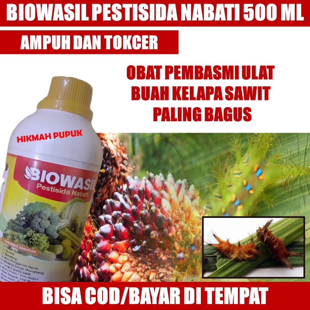 Jual PROMO COD BIOWASIL OBAT UNTUK PENGENDALIAN LALAT BUAH KELAPA SAWIT ...