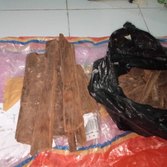 Jual Kulit kayu mesoyi/masohi | Shopee Indonesia