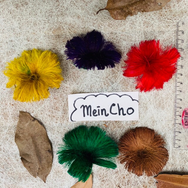 Jual Bunga PINANG Bunga Lontar Kulit Pinang Serat Pinang Bunga Klobot ...