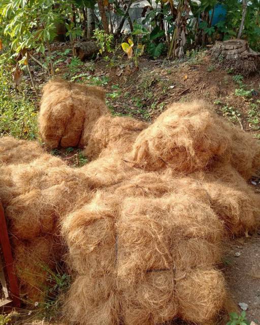 Jual 1kg SABUT SERABUT IJUK KELAPA COCOFIBER COCO FIBER BERSIH KERING ...