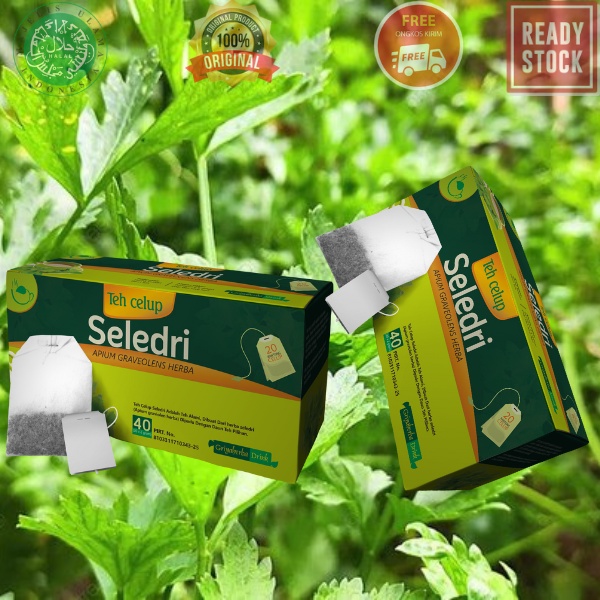 Jual obat herbal untuk darah tinggiTeh herbal seledri bermanfaat untuk ...