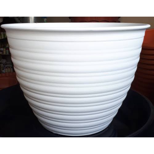 Jual Pot Bunga Putih model Tawon 15cm isi 12 Pcs | Shopee Indonesia
