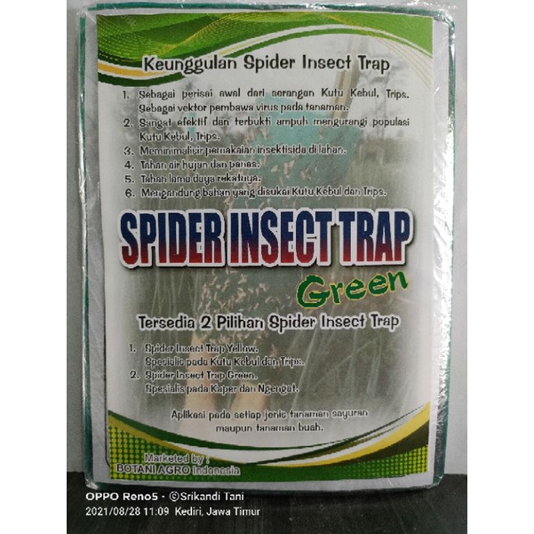 Jual Spider Insect Trap Green 100 Lembar Perangkap Hama Tanaman ...