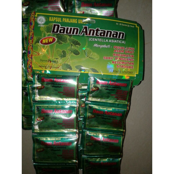 Jual paket 100 hanger original Daun Antanan Kapsul | Shopee Indonesia