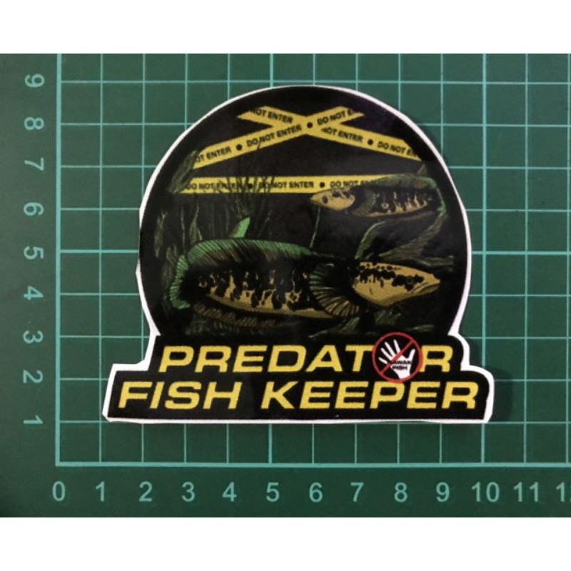Jual STIKER AQUARIUM IKAN PREDATOR | Shopee Indonesia