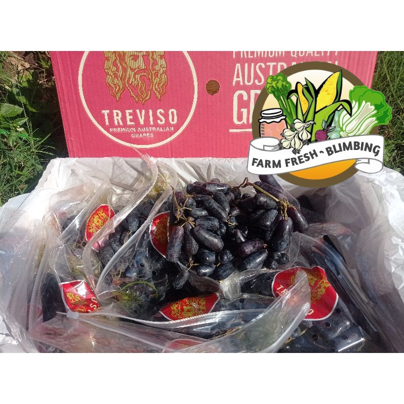 Jual Anggur Moondrop / Anggur Jari 800 gr | Shopee Indonesia