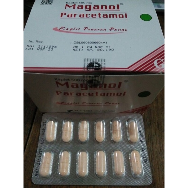 Jual maganol paracetamol | Shopee Indonesia