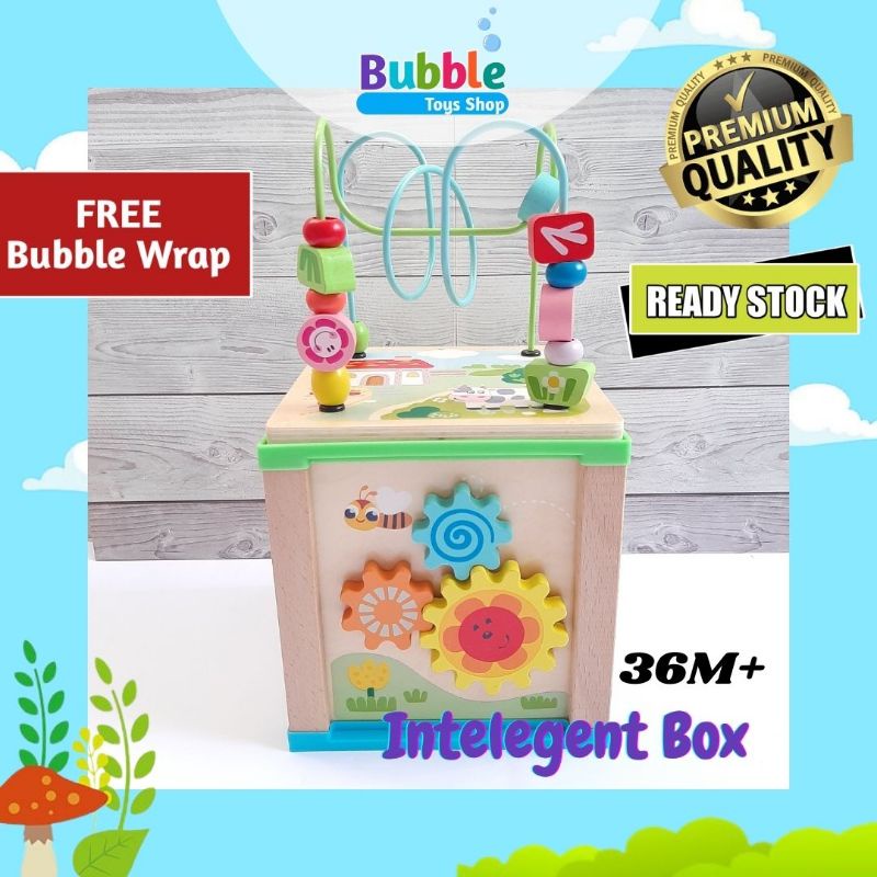 Jual Mainan Motorik Anak Edukasi Bayi Balita Wisdom Intelegent Box ...
