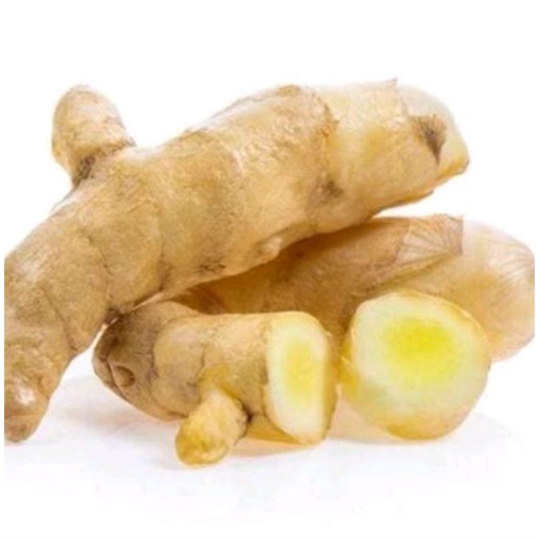 Jual temu mangga/temu poh 1kg | Shopee Indonesia