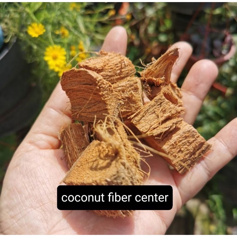 Jual Coco Chip/Coco Husk/Cocochip Sabut Serabut Kelapa 5 kg | Shopee ...