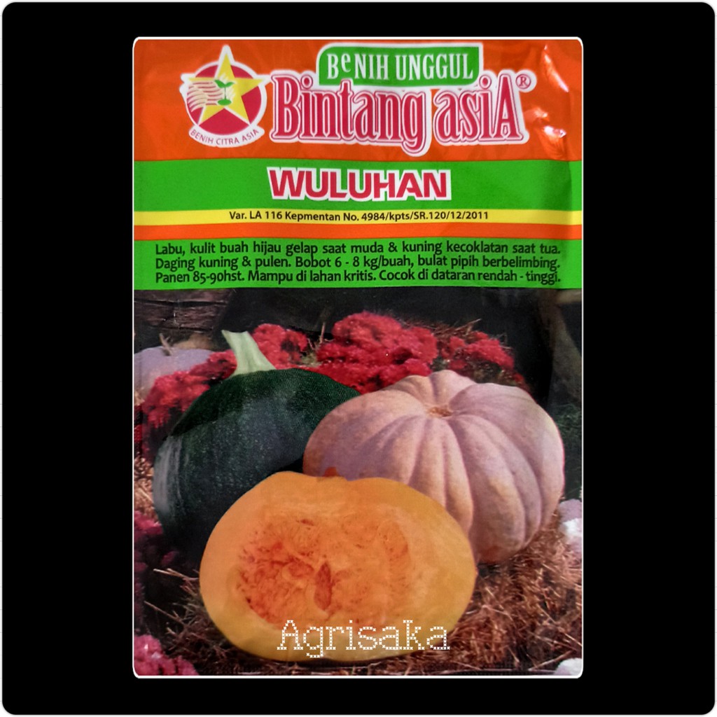 Jual Benih Labu Waluh Kuning WULUHAN 10 Gram - Bintang asiA | Shopee ...