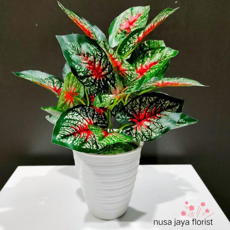 Jual Rangkaian Daun Asstd D10 Tirus –FIN.25Au22т | Shopee Indonesia