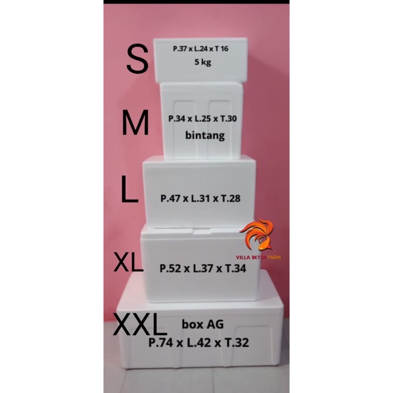 Jual Box Styrofoam murah tebal / Box Sterofoam Besar / Kotak Gabus ...