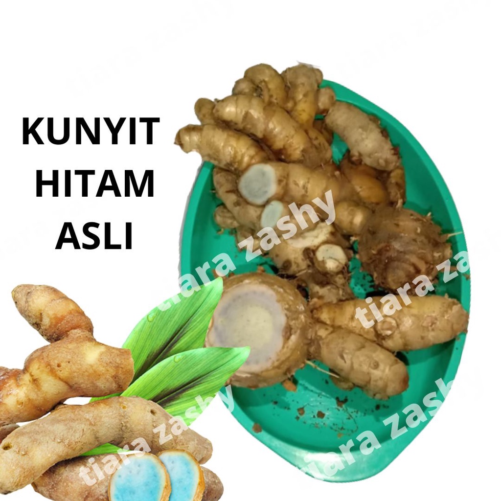 Jual kunyit hitam asli rempah original | Shopee Indonesia