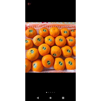 Jual JERUK MANDARIN /carton | Shopee Indonesia