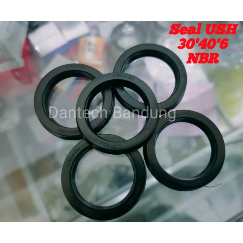 Jual Seal USH 30 40 6 Seal Hydrolic pneumatik | Shopee Indonesia