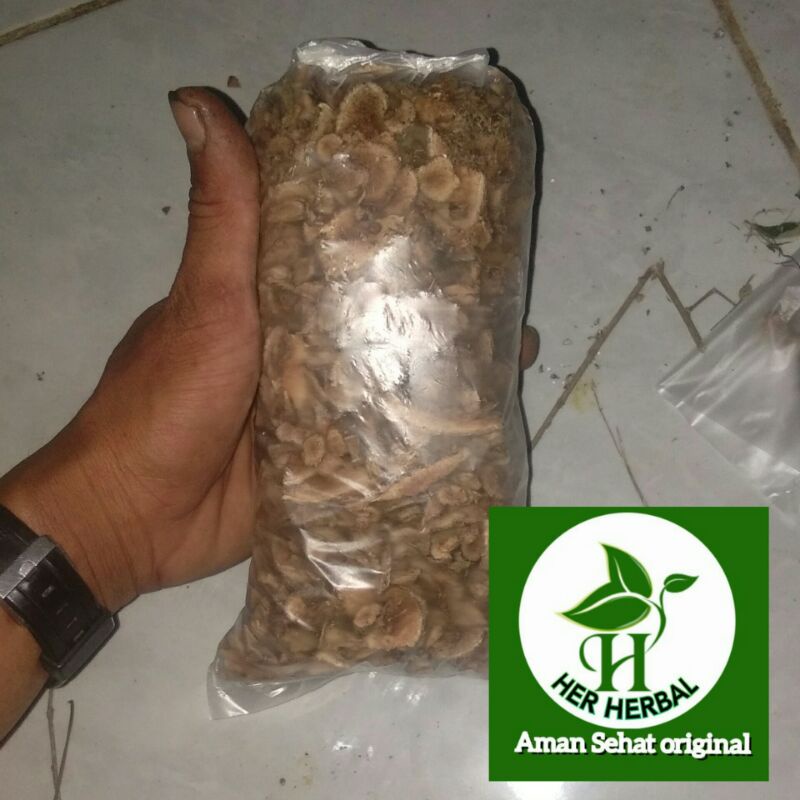 Jual Jual akar pepaya kering obat herbal ginjal | Shopee Indonesia Jual Jual akar pepaya kering obat herbal ginjal | Shopee Indonesia