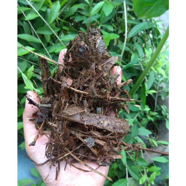 Jual Media Tanam siap pakai Andam, Cocochips sabut kelapa, fermentasi ...