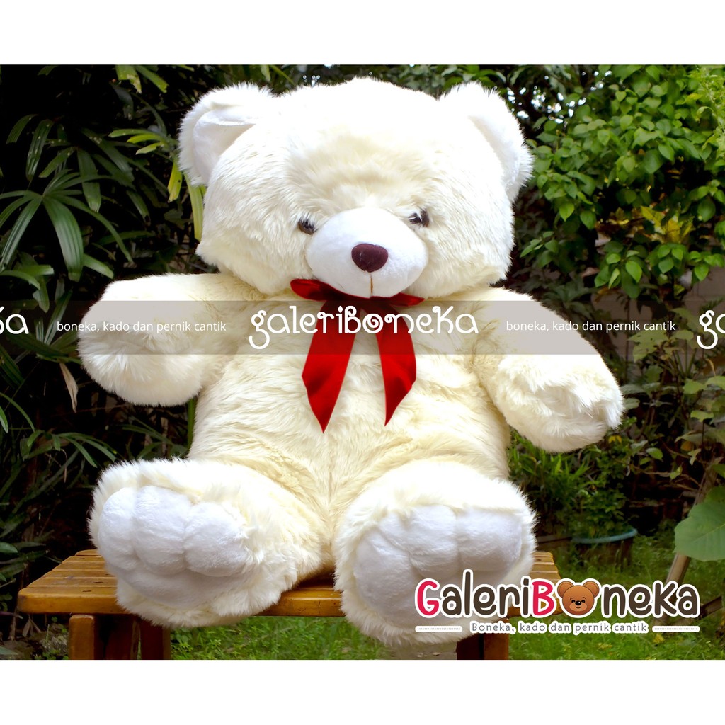 Jual Boneka Teddy Ukuran Large Putih ( BM - 05 ) | Shopee Indonesia