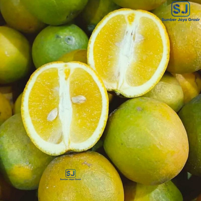 Jual JERUK BABY / JERUK IRIS / JERUK PERAS MALANG FRESH 1 KG | Shopee ...