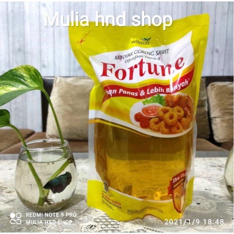 Jual Minyak Goreng Fortune 2L | Shopee Indonesia