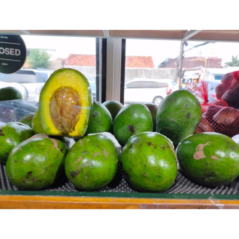 Jual alpukat mentega medium | Shopee Indonesia