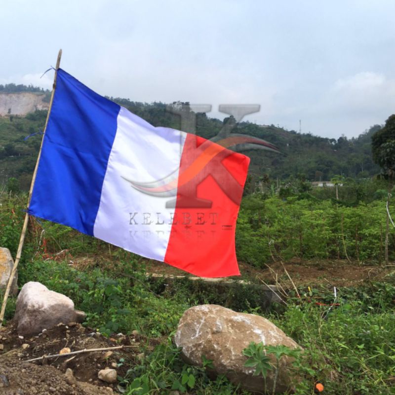 Jual Bendera francis | Shopee Indonesia