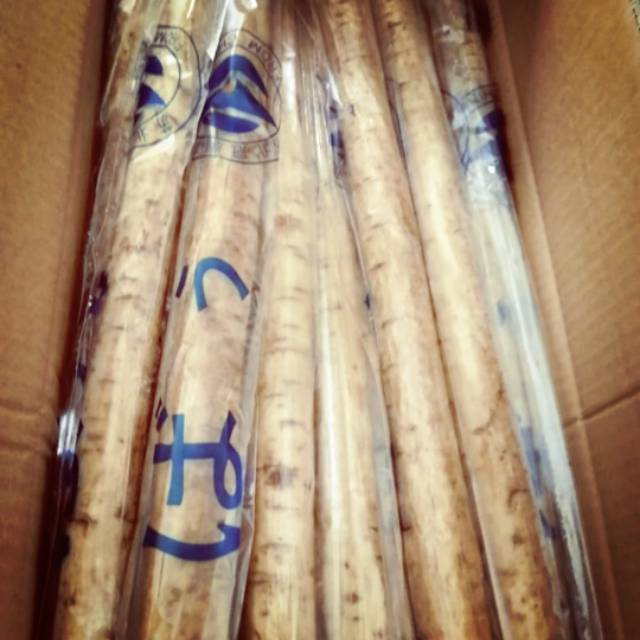 Jual Akar gobo/burdock root | Shopee Indonesia