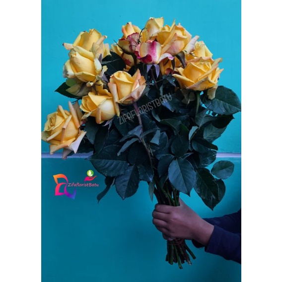 Jual Bunga mawar kuning asli/bunga mawar potong segar (harga per 1 ikat ...