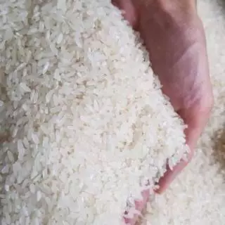 Jual Beras Pera Terlengkap & Harga Terbaru Agustus 2024 | Shopee Indonesia