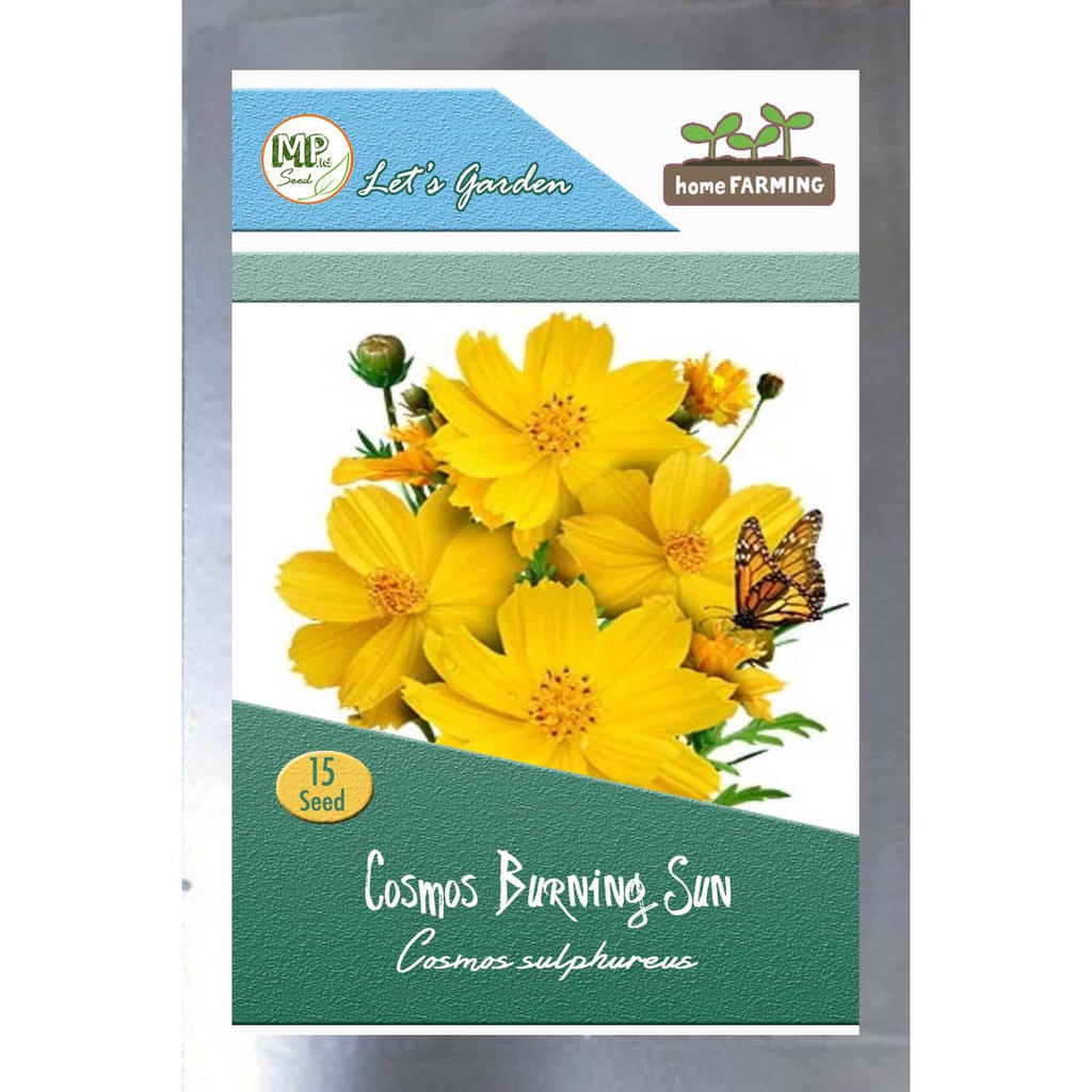 Jual Benih Biji Bunga Cosmos Burning Sun | Shopee Indonesia
