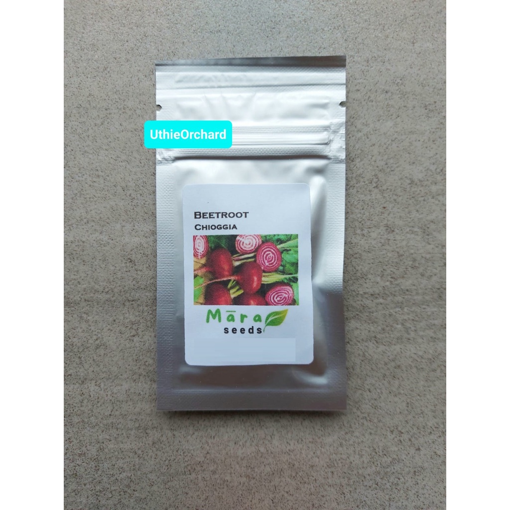 Jual Mara Seeds - Beetroot (Bit/Beet) Chioggia (60 seeds) | Shopee ...